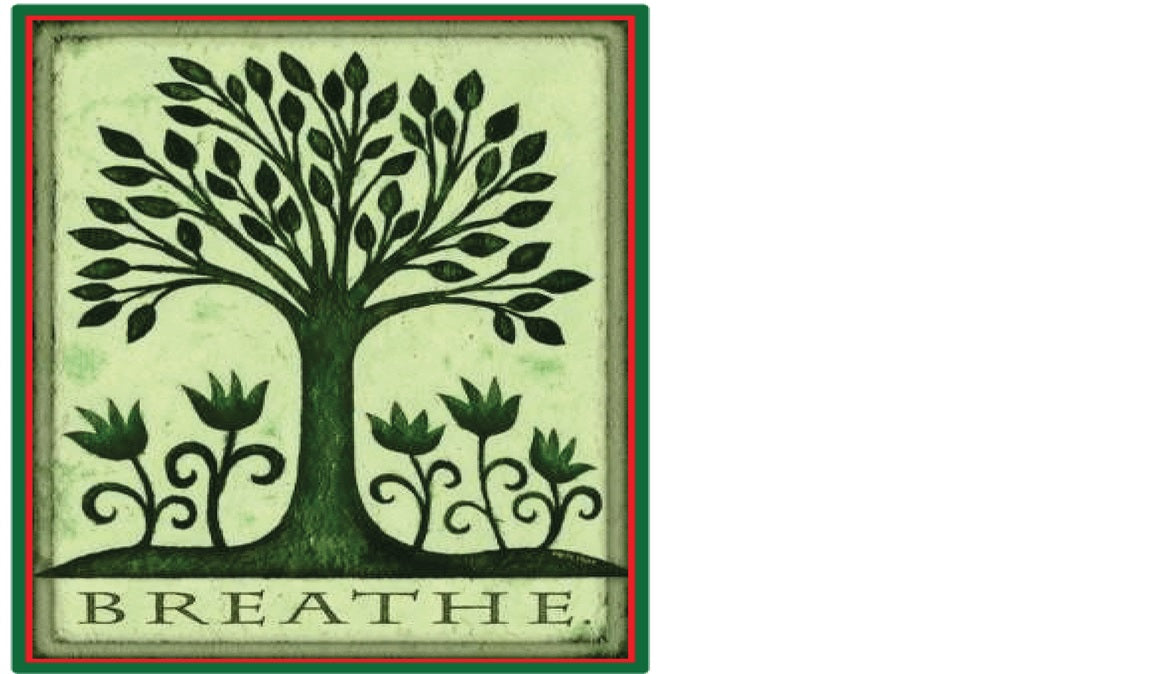 trees breathe – RARE bags